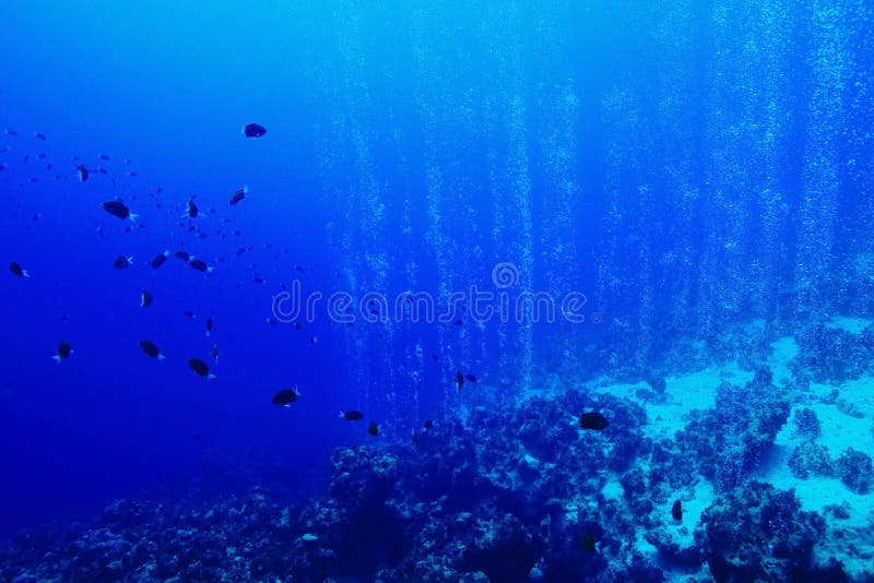 Texture blue sea water stock photo. Image of fish, deep - 66166434