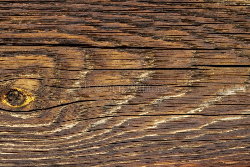 Texture Board Sun Bleached Top View Stock Photos - Free & Royalty-Free ...