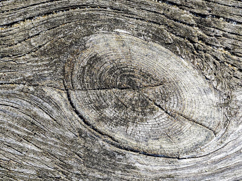 Texture of Boards on the Lake Shore Stock Image - Image of abstract ...
