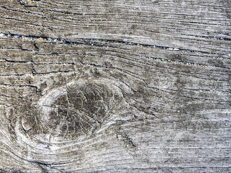 Texture of Boards on the Lake Shore Stock Photo - Image of landscape ...