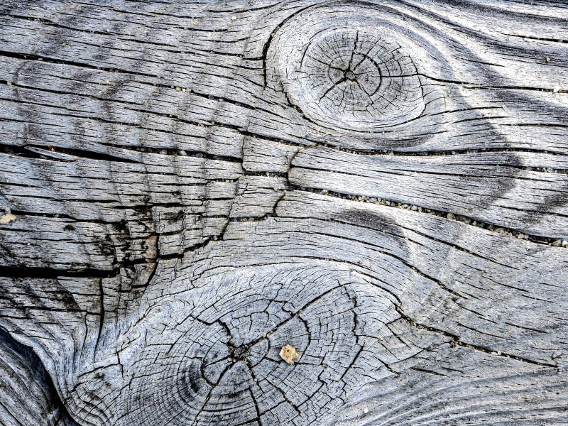 Texture of Boards on the Lake Shore Stock Photo - Image of outdoor ...