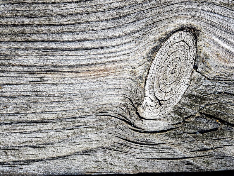 Texture of Boards on the Lake Shore Stock Image - Image of surface ...