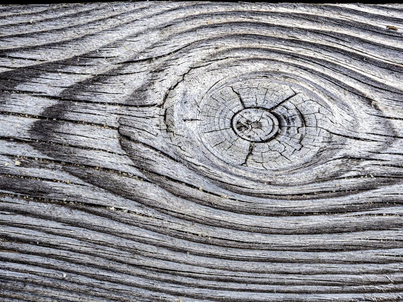 Texture of Boards on the Lake Shore Stock Photo - Image of boardwalk ...