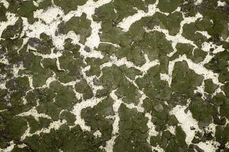 The Texture of the Bottom of the Reservoir Sand and the Accumulation of ...