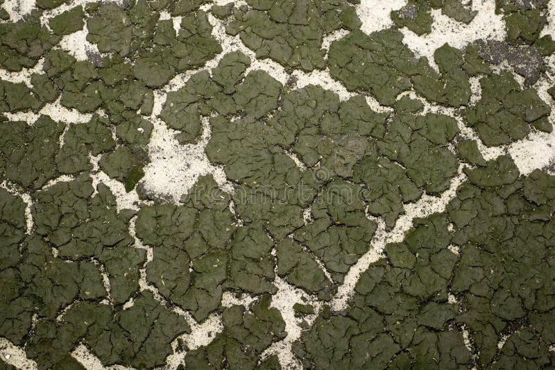 The Texture of the Bottom of the Reservoir Sand and the Accumulation of ...