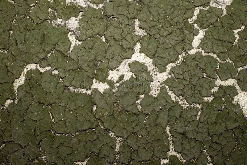 The Texture of the Bottom of the Reservoir Sand and the Accumulation of ...