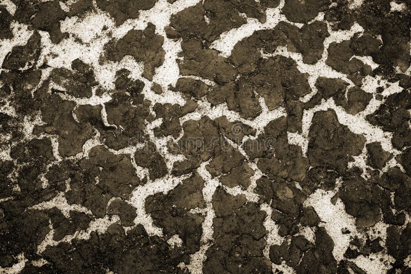 The Texture of the Bottom of the Reservoir Sand and the Accumulation of ...