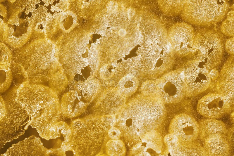 Texture of Bread Crust, Macro Photography Stock Image - Image of bread ...
