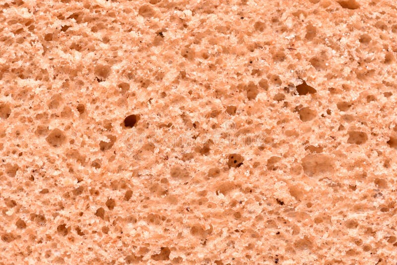 The Texture of the Bread. Porous Surface and Texture of the Cut Edge of ...