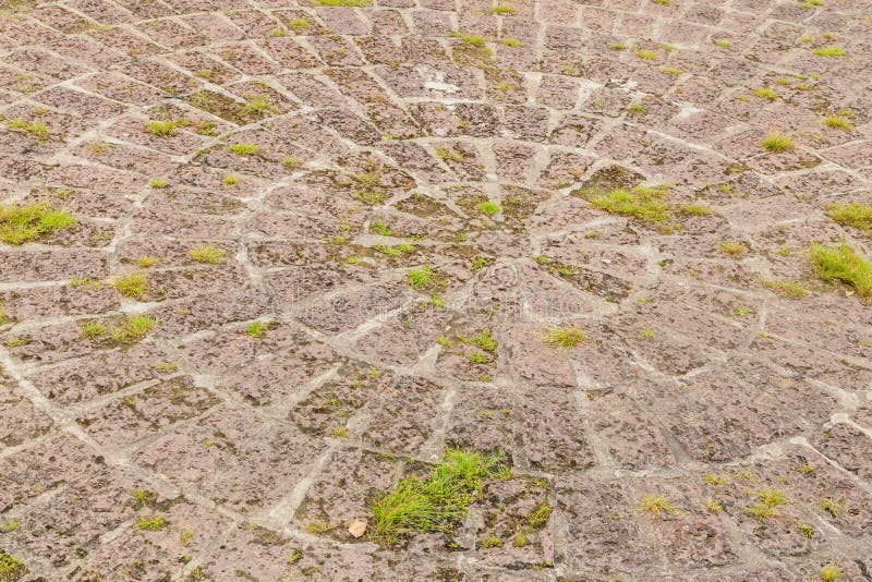 Texture of Brick Paving Walkway Stock Image - Image of exterior ...