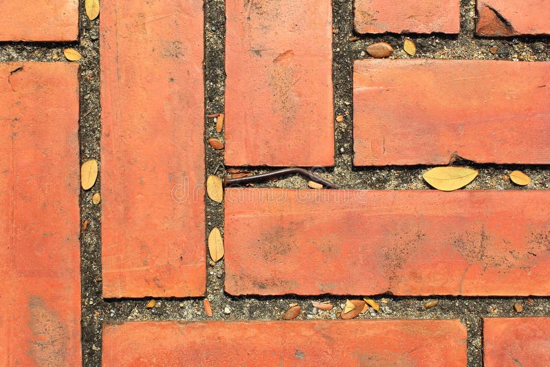 Texture from Bricks Floor with Leaves and Nail Stock Photo - Image of ...