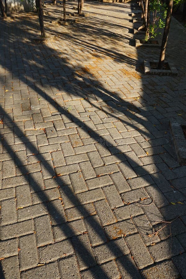 The Texture of the Bricks in the Garden and the Shadows of the Trees ...
