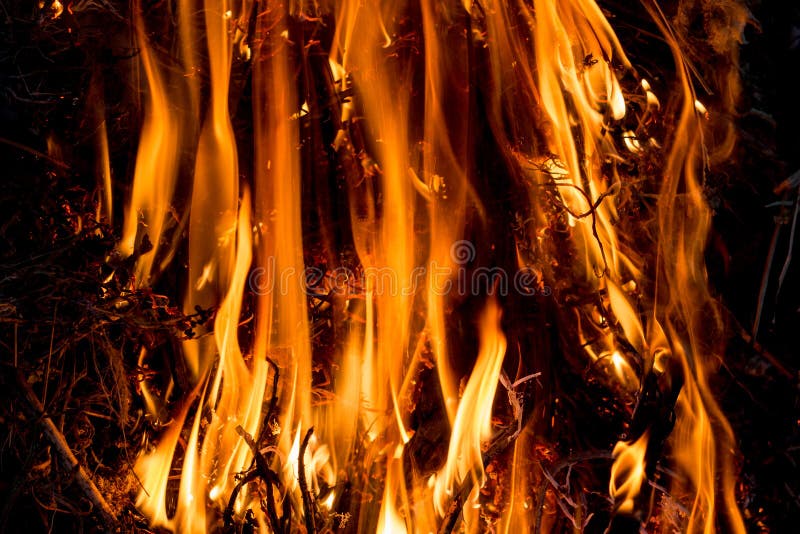 Texture of Bright Fire on a Dark Background. Strong Flame during Stock ...