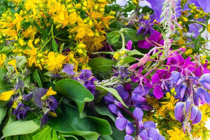 Texture of Bright Wildflowers Stock Photo - Image of floral, flora ...
