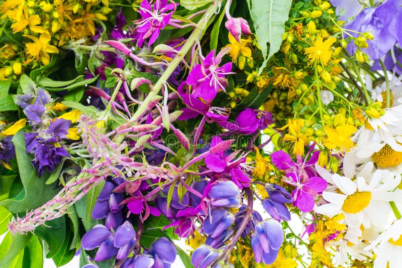 Texture of Bright Wildflowers Stock Photo - Image of fresh, daisies ...