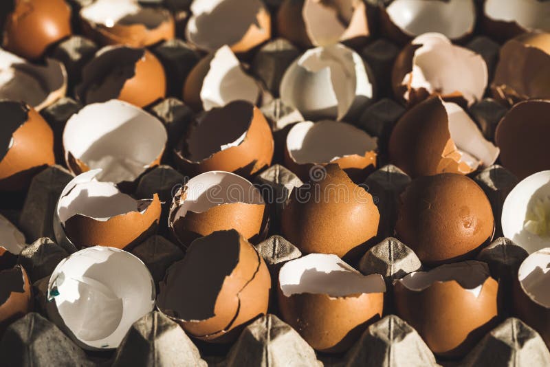 Texture of Broken Empty Eggshell in Carton Box. Cooking on Easter ...