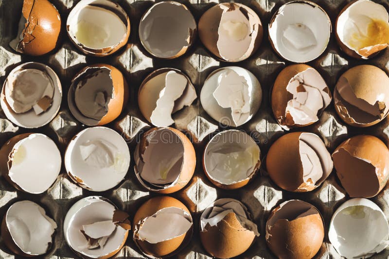 Texture of Broken Empty Eggshell in Carton Box. Cooking on Easter ...