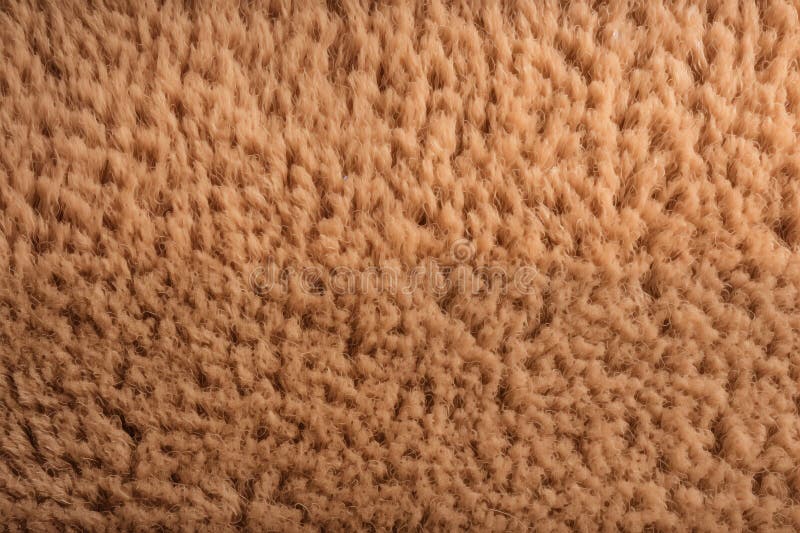 Texture of Brown Fuzzy Carpet Fabric Stock Illustration - Illustration ...
