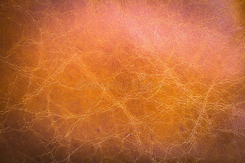 Brown Genuine Leather Texture Background with Wrinkles. Close-up of ...