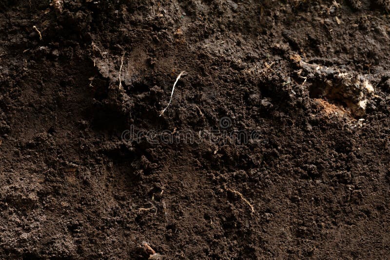 Texture of Brown Ground Cut Stock Image - Image of background, clay ...