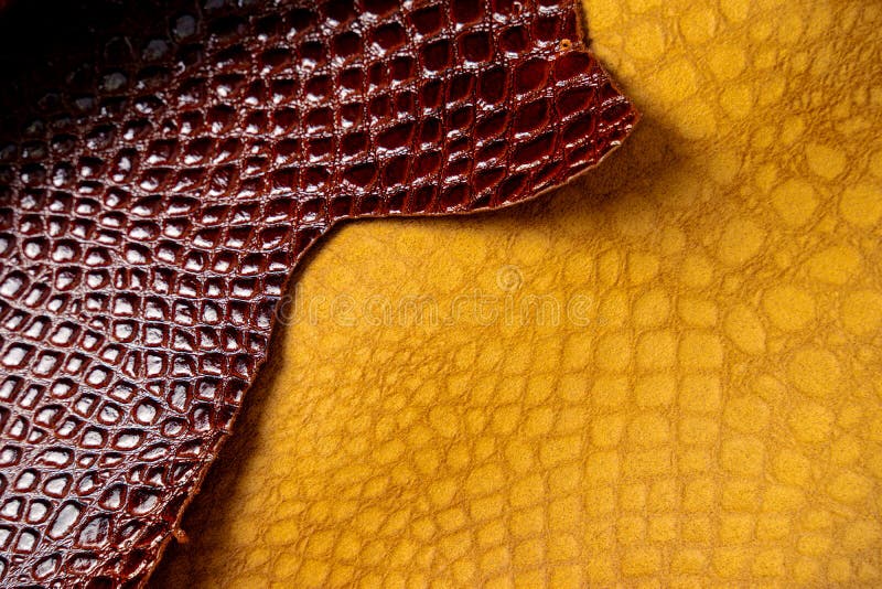 Texture of Brown Leather Crocodile Pattern Front and Back Glossy ...