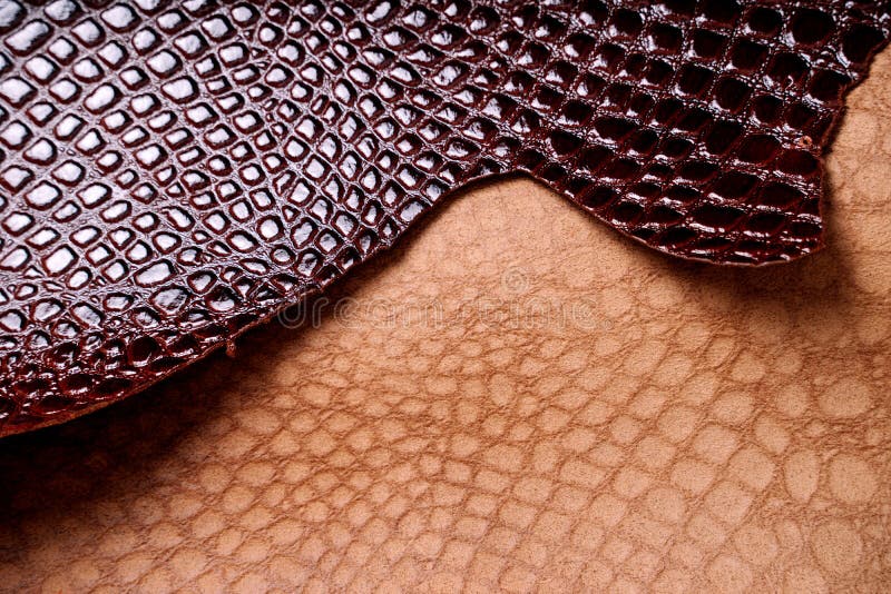 Texture of Brown Leather Crocodile Pattern Front and Back Stock Photo ...