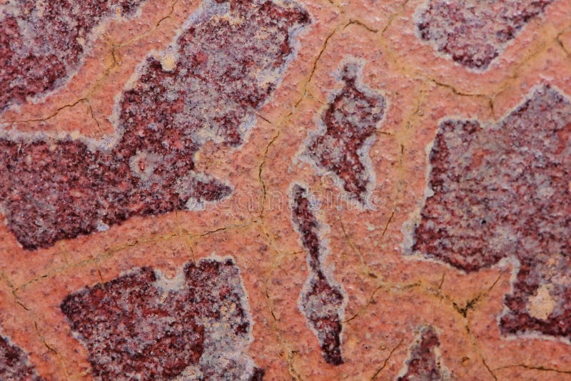 Texture of Brown Mable in Macro for Background Stock Photo - Image of ...