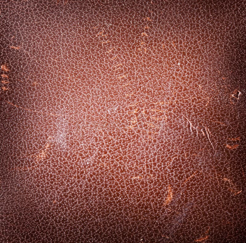 Texture of brown skin. stock photo. Image of bumpy, reflection - 18041392