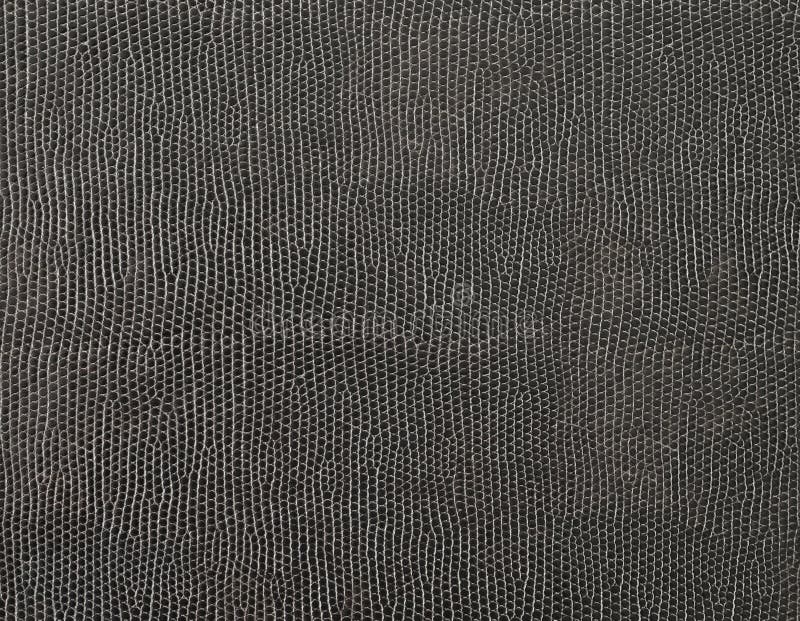 Texture of Brown Snake Skin Iguana Stock Illustration - Illustration of ...