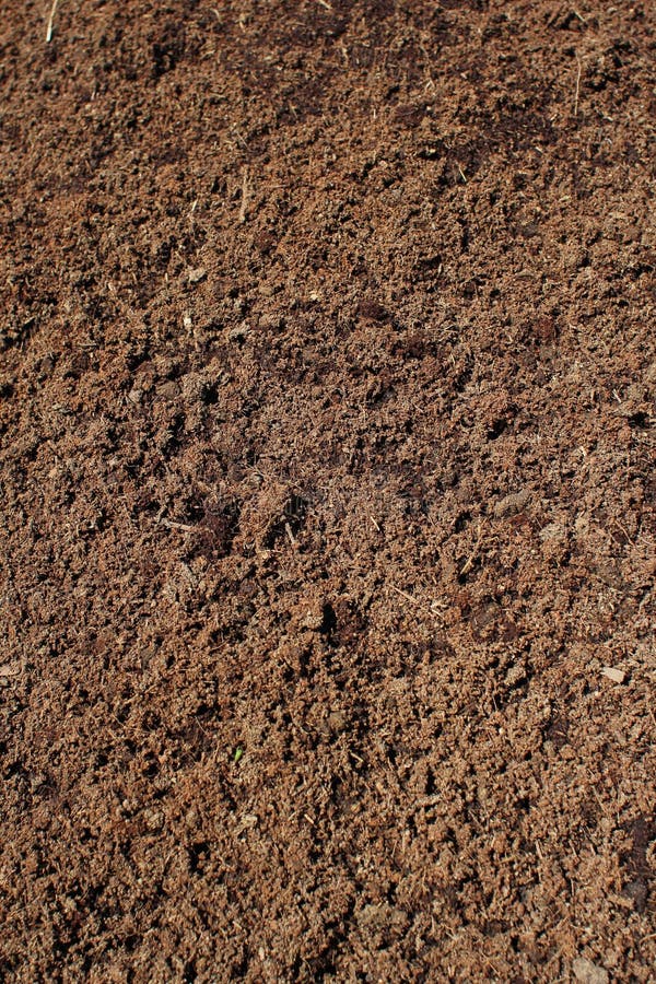 Texture of Brown Soil for Planting in the Field Stock Image - Image of ...