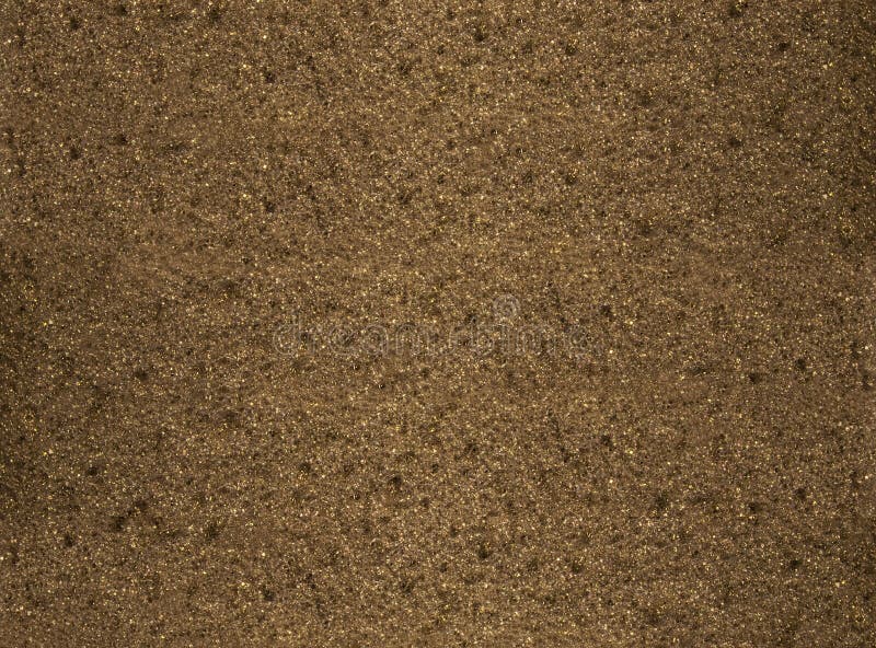 Texture of Brown Sponge. for Background. Close Up. White Sponge Natural ...