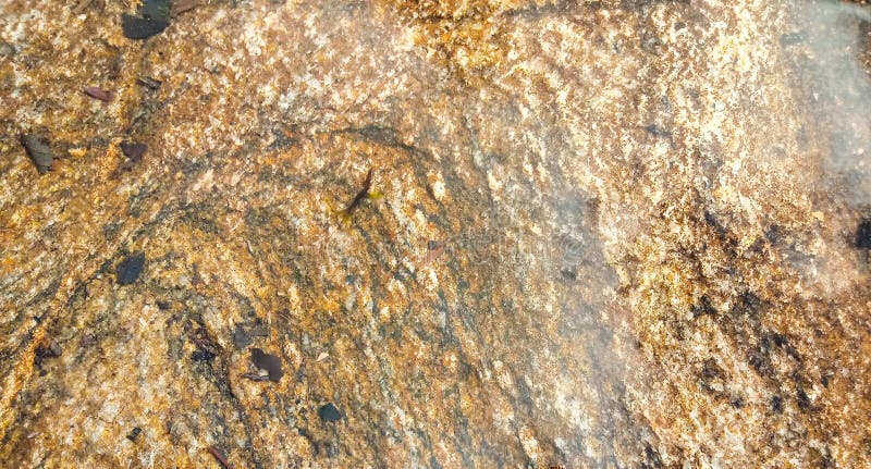 Stone Texture - Details and Texture of Stone Stock Photo - Image of ...