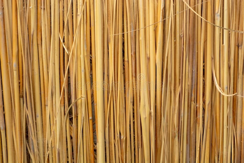 Texture of the Brown Straws Stock Photo - Image of design, asia: 165896714