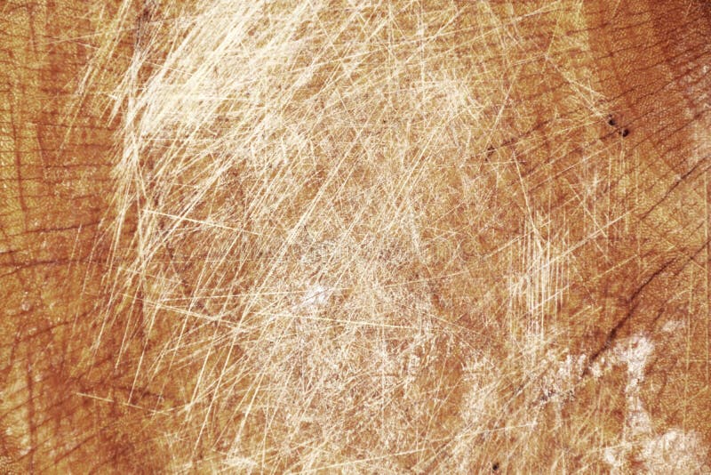 The Texture of the Brown Wood with a Dull White Scratch Fills the Frame ...