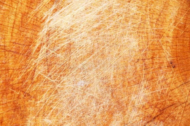 The Texture of the Brown Wood with a Dull White Scratch Fills the Frame ...