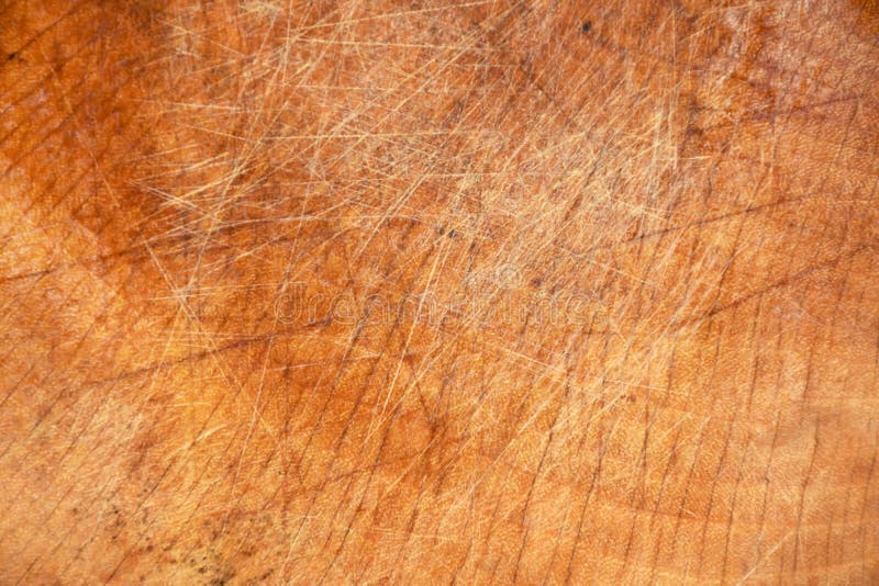 208 Dull Gold Texture Stock Photos - Free & Royalty-Free Stock Photos ...