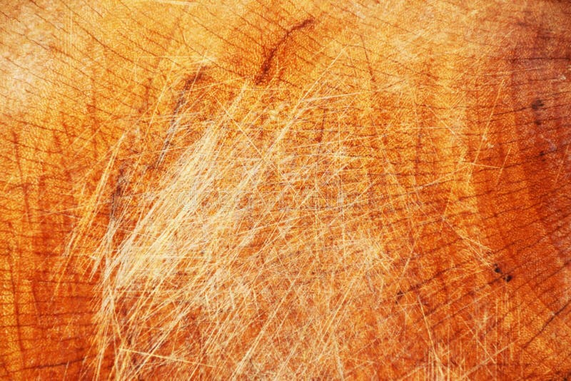 208 Dull Gold Texture Stock Photos - Free & Royalty-Free Stock Photos ...