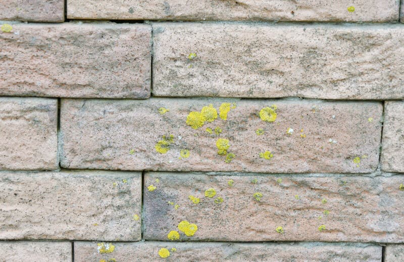 The Texture of the Building Material Stock Photo - Image of natural ...