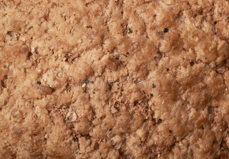 Burger Bun Texture Fragment Stock Image - Image of bakery, golden: 85958239