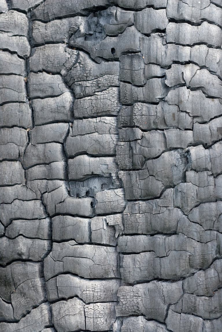 9,318 Burned Wood Texture Stock Photos - Free & Royalty-Free Stock ...