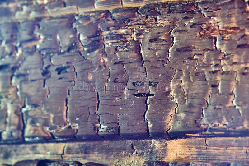 The Texture of the Burnt Board after the Fire Color Stock Image - Image ...