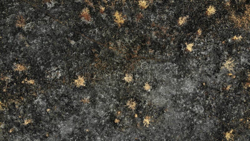 Texture of a Burnt Forest Ground after a Fire Stock Image - Image of ...