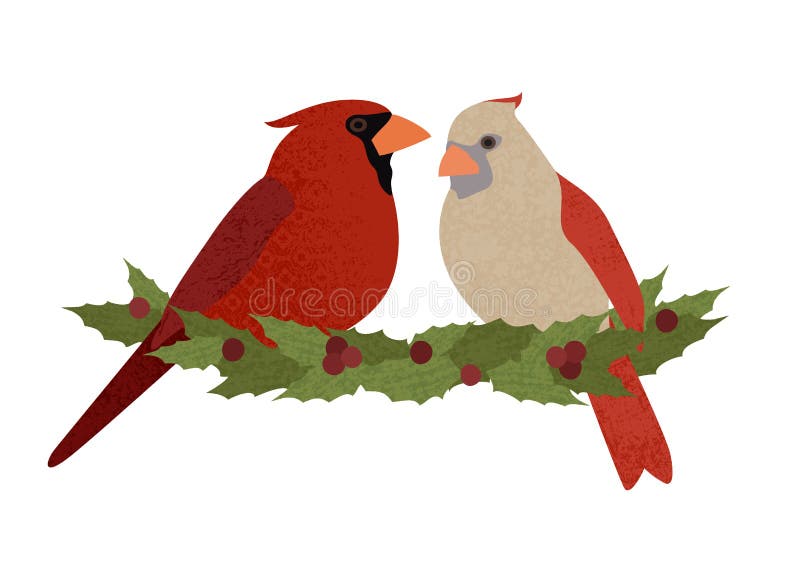 Female Cardinal Stock Illustrations – 495 Female Cardinal Stock ...