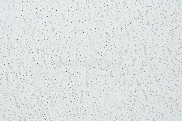 147 False Ceiling Texture Stock Photos - Free & Royalty-Free Stock ...