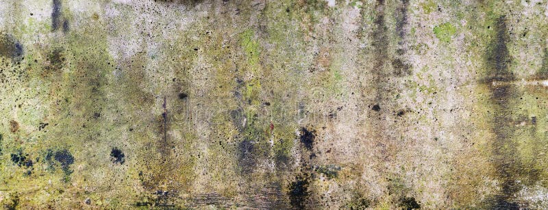 Texture Cement Wall with Moss Stock Image - Image of cement, concrete ...