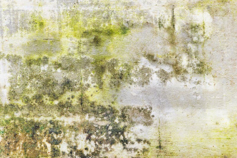 1,611 Moist Wall Texture Stock Photos - Free & Royalty-Free Stock ...