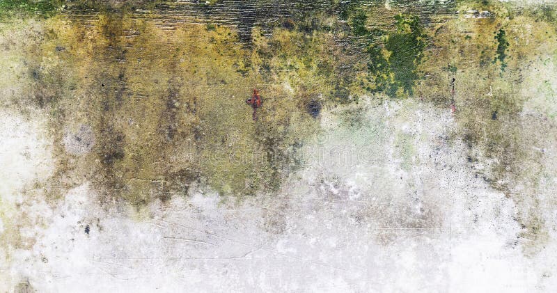 1,611 Moist Wall Texture Stock Photos - Free & Royalty-Free Stock ...