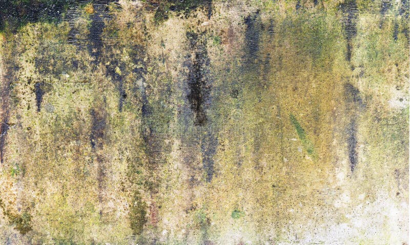 1,611 Moist Wall Texture Stock Photos - Free & Royalty-Free Stock ...