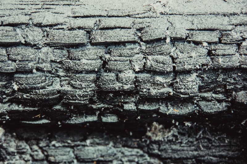 Texture of charred wood stock image. Image of ember - 107068865
