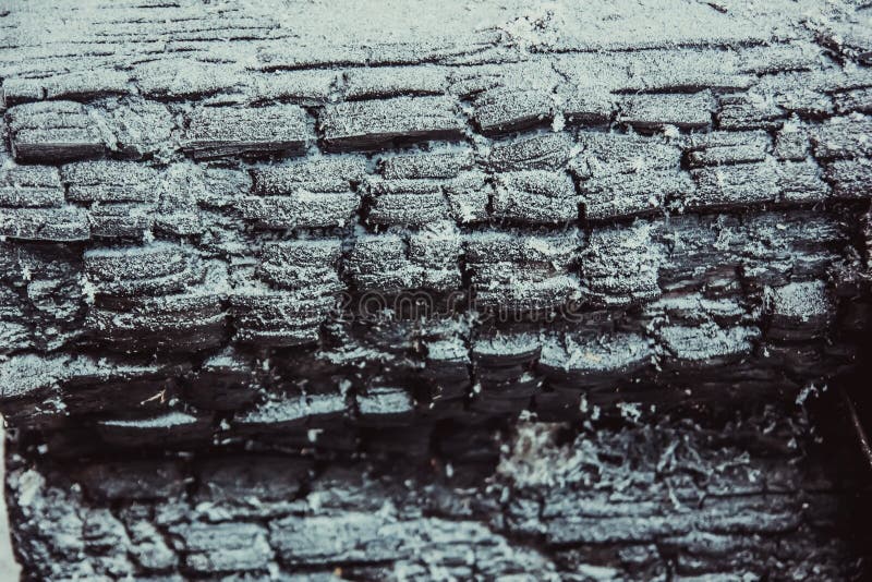 165 Ember Snow Stock Photos - Free & Royalty-Free Stock Photos from ...